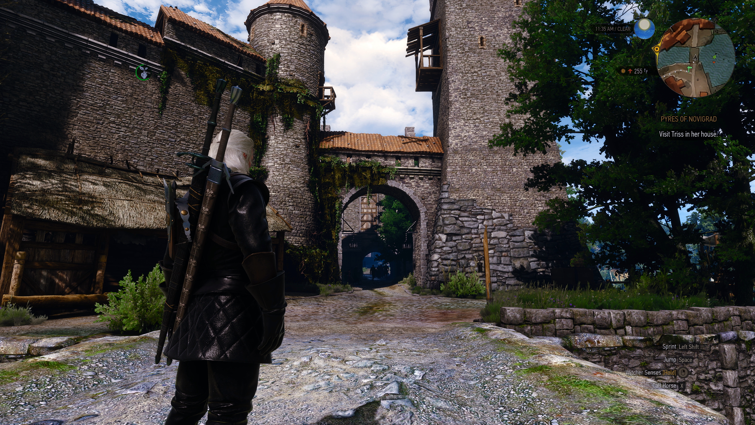 The Witcher 3 - Next-Gen - Enhancement Project